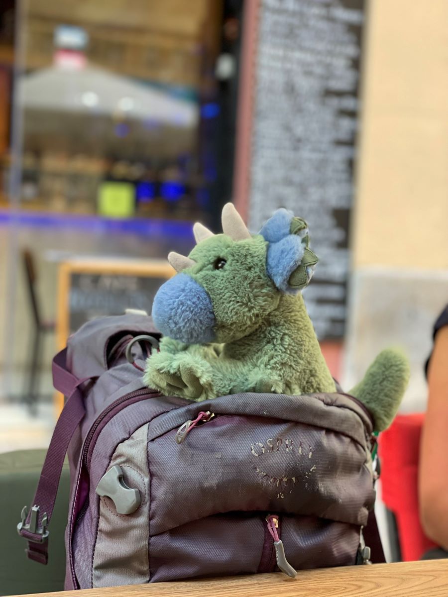 Why Stuffies Deserve a Spot in Your Backpack - TrailWest
